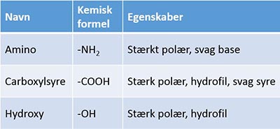 Biokemi – Biologiskolen